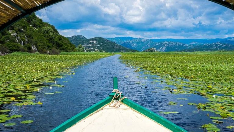 Lake Skadar National Park: The Largest Lake in the Balkan